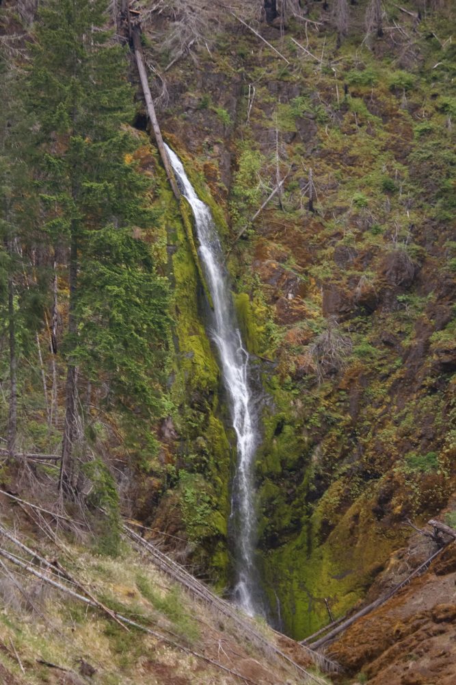 Discover Cougar Hot Springs in Oregon: What to Know Before You Go ...
