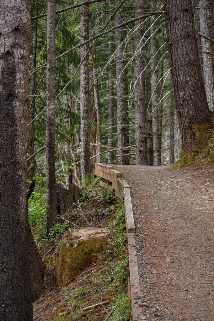 Discover Cougar Hot Springs in Oregon: What to Know Before You Go ...